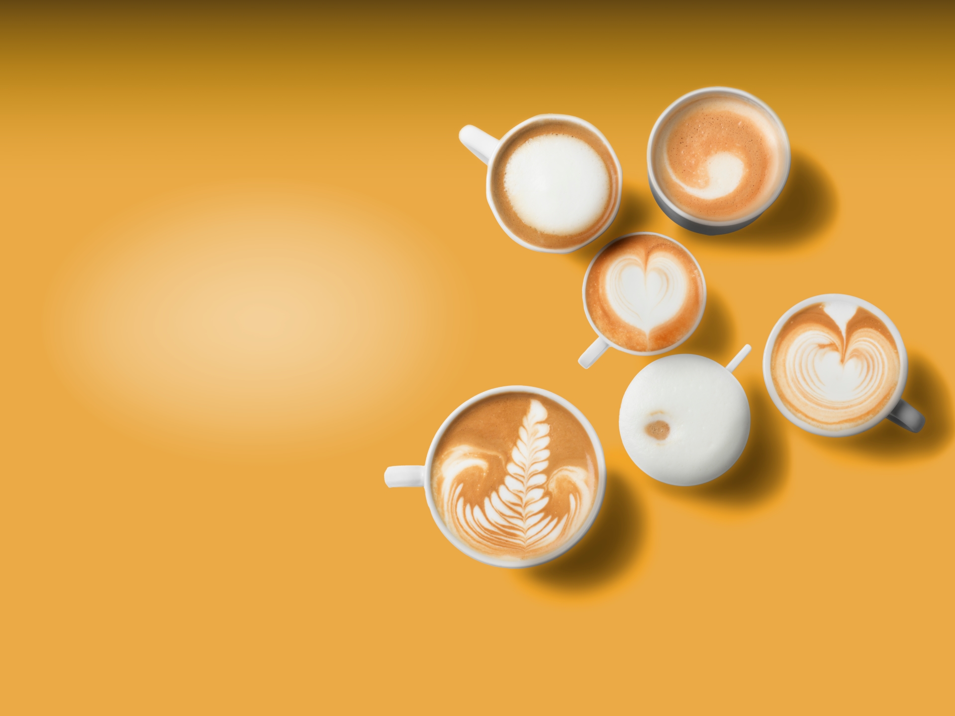 Frequently asked questions about Lattiz®